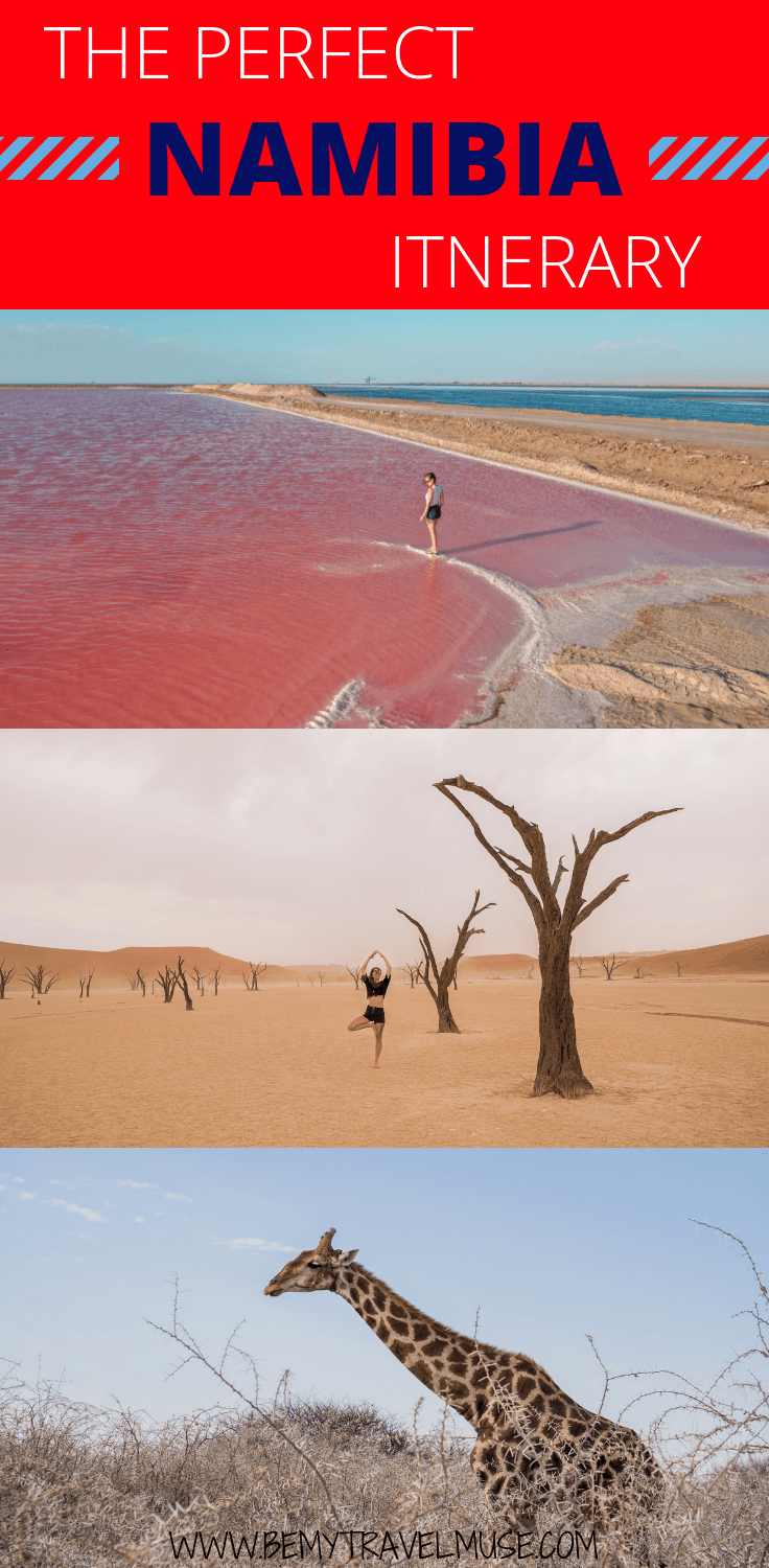 The Perfect Namibia Road Trip Itinerary - Travel Updates